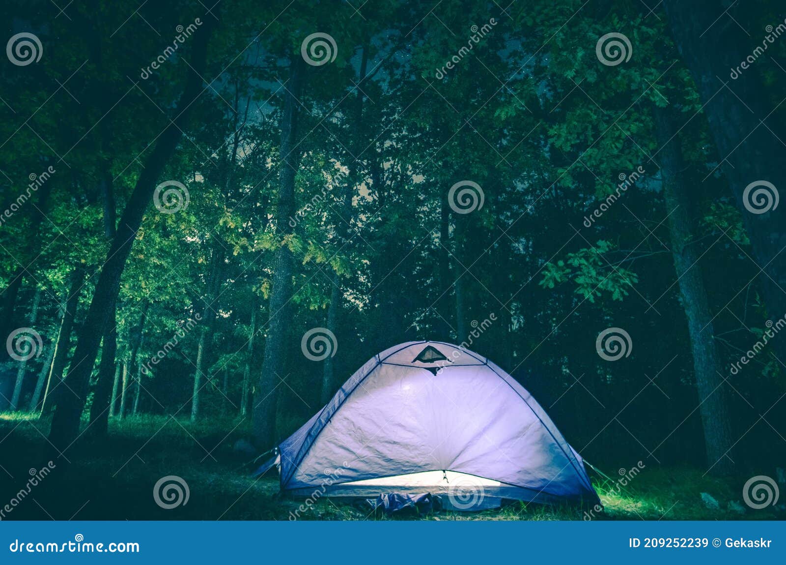 Camping Tent in Dark Forest Stock Image - Image of vacation, woods ...