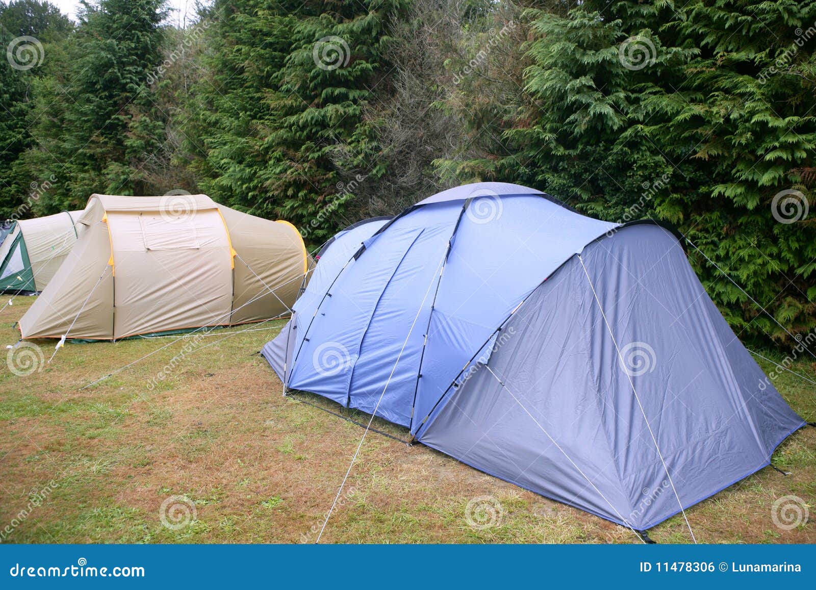 Camping Tent Field Over Green Grass Stock Photo - Image of modern ...