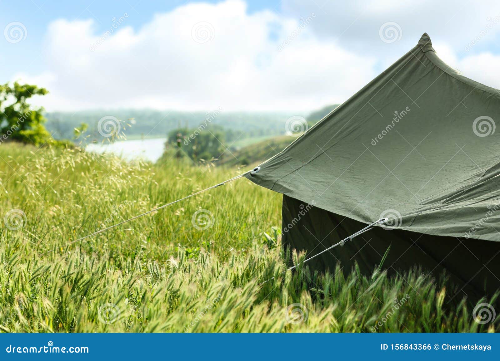 Camping Tent in Green Field on Sunny Day Stock Photo - Image of rest ...