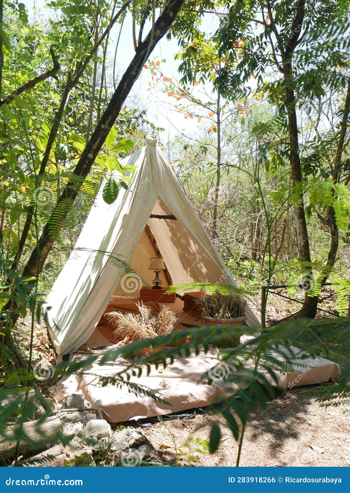 Camping Tent Interior View in a Sunny Day in the Forest Stock Photo ...