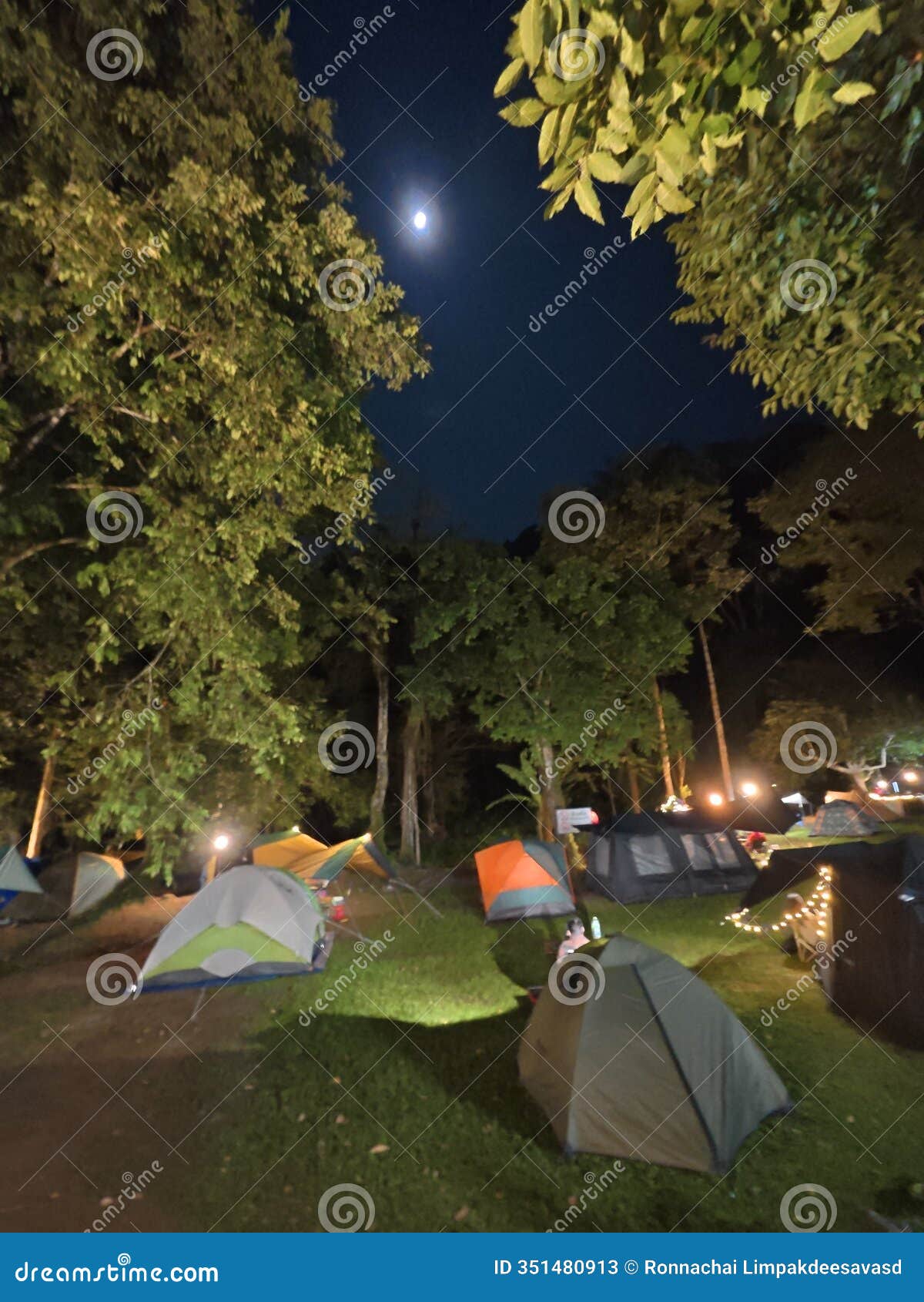 Camping Tent at Night in Forest Stock Image - Image of star, holiday ...