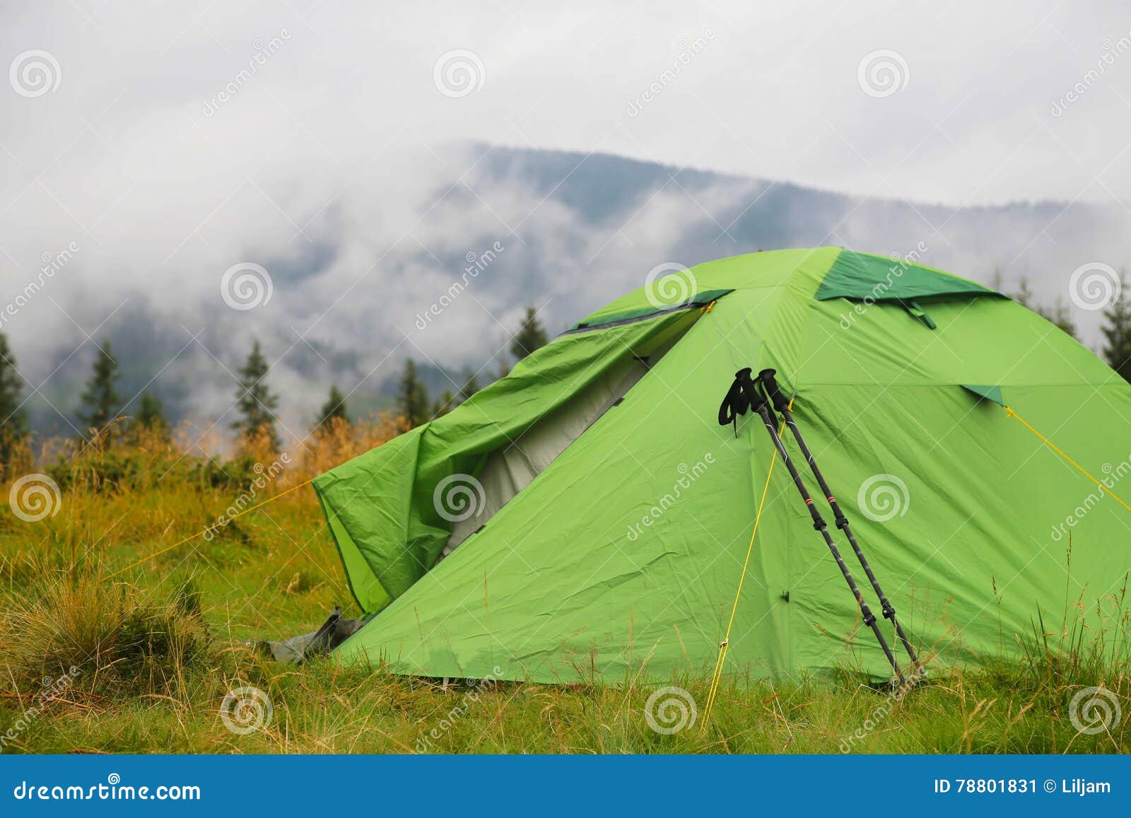 Camping Tent Outdoor in the Nature Forest with Mist Stock Image - Image ...