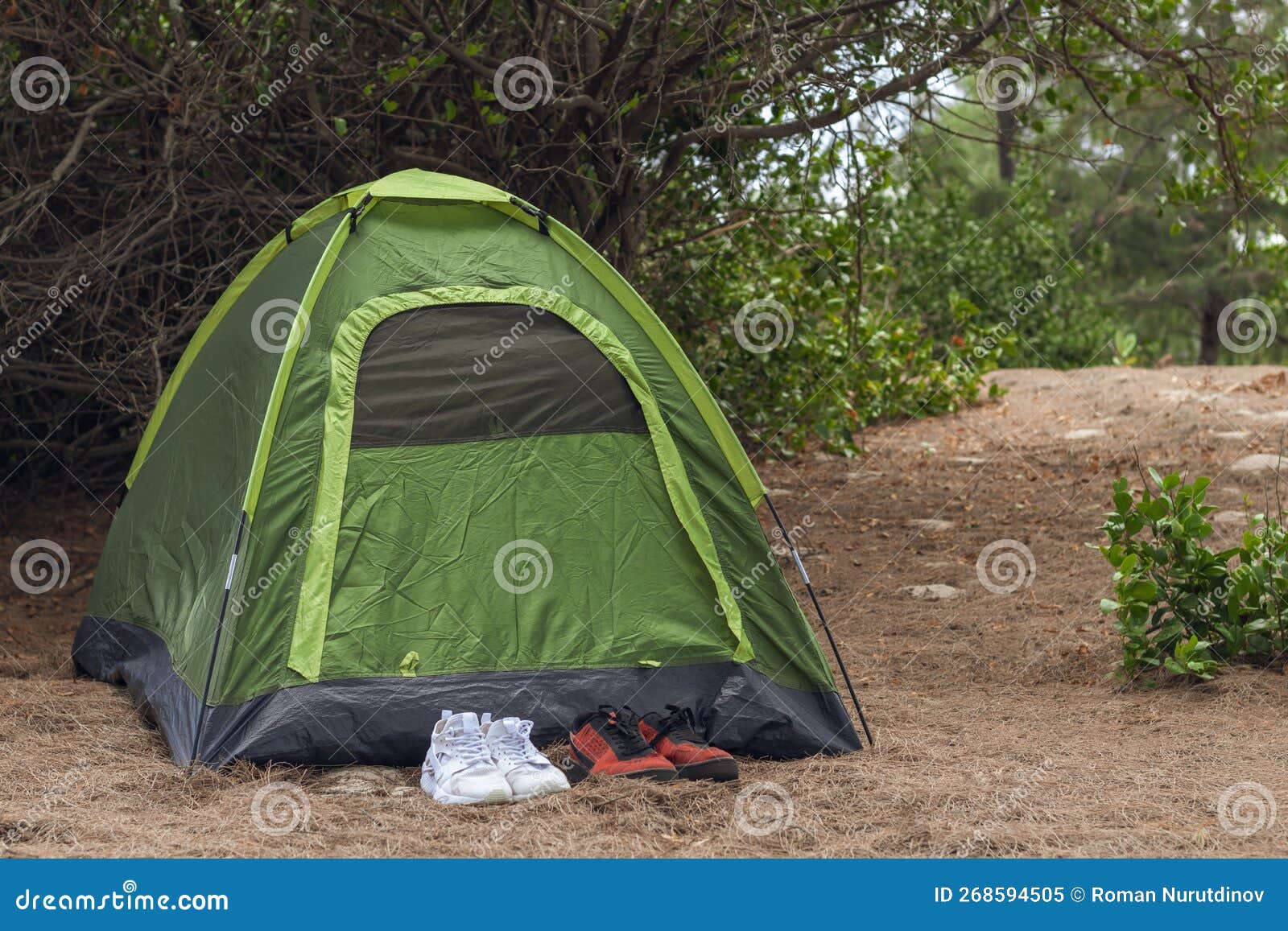 Camping Tent Under a Tree in the Forest Stock Image - Image of ...