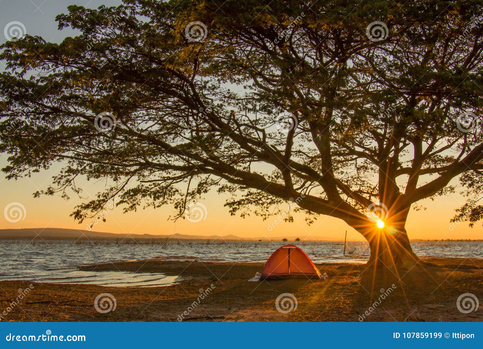 Camping Tent Under the Tree at Sunrise or Sunset Backgrou Stock Image ...
