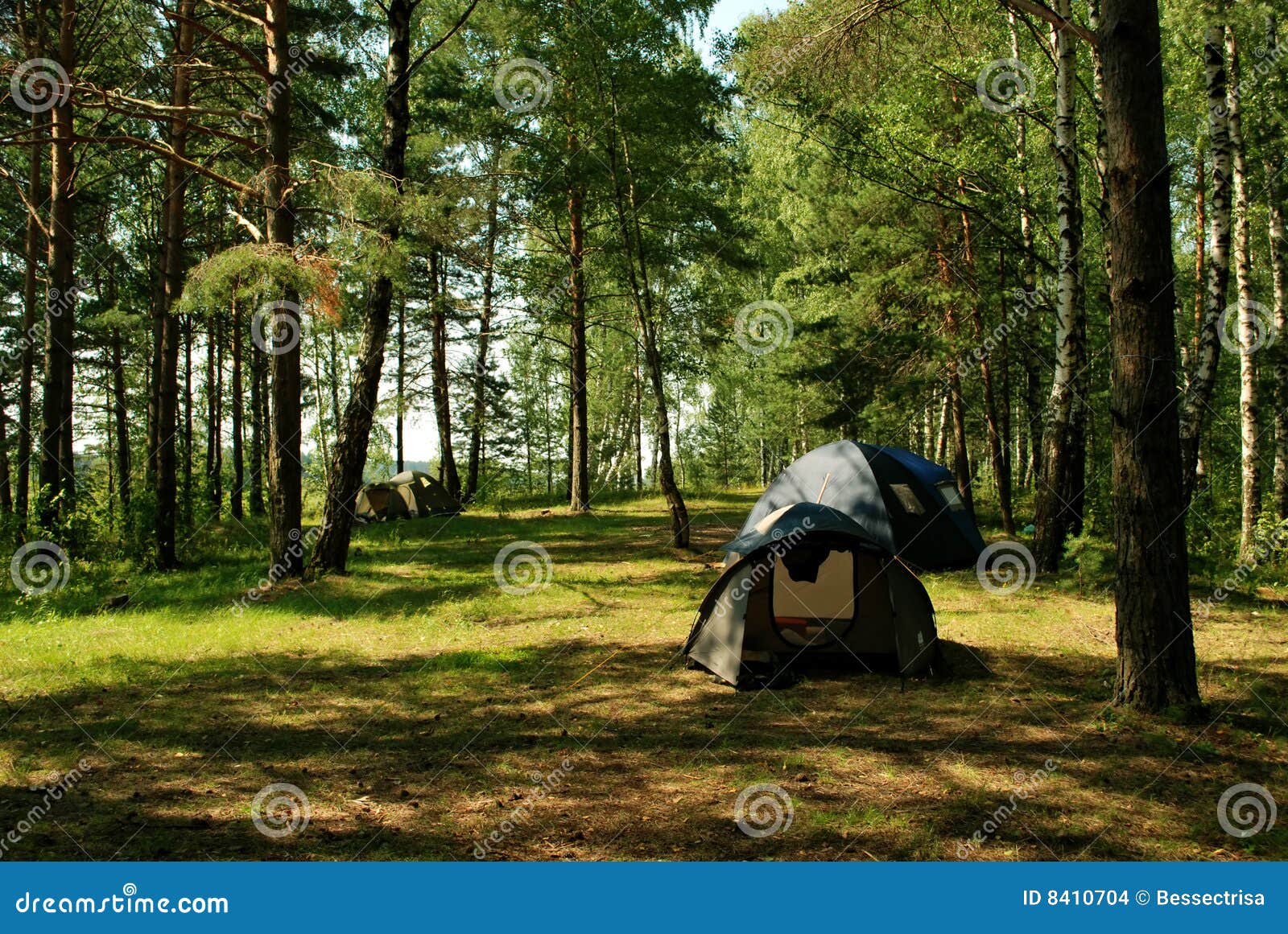 Camping Tents in the Forest Stock Photo - Image of wilderness, outdoor ...