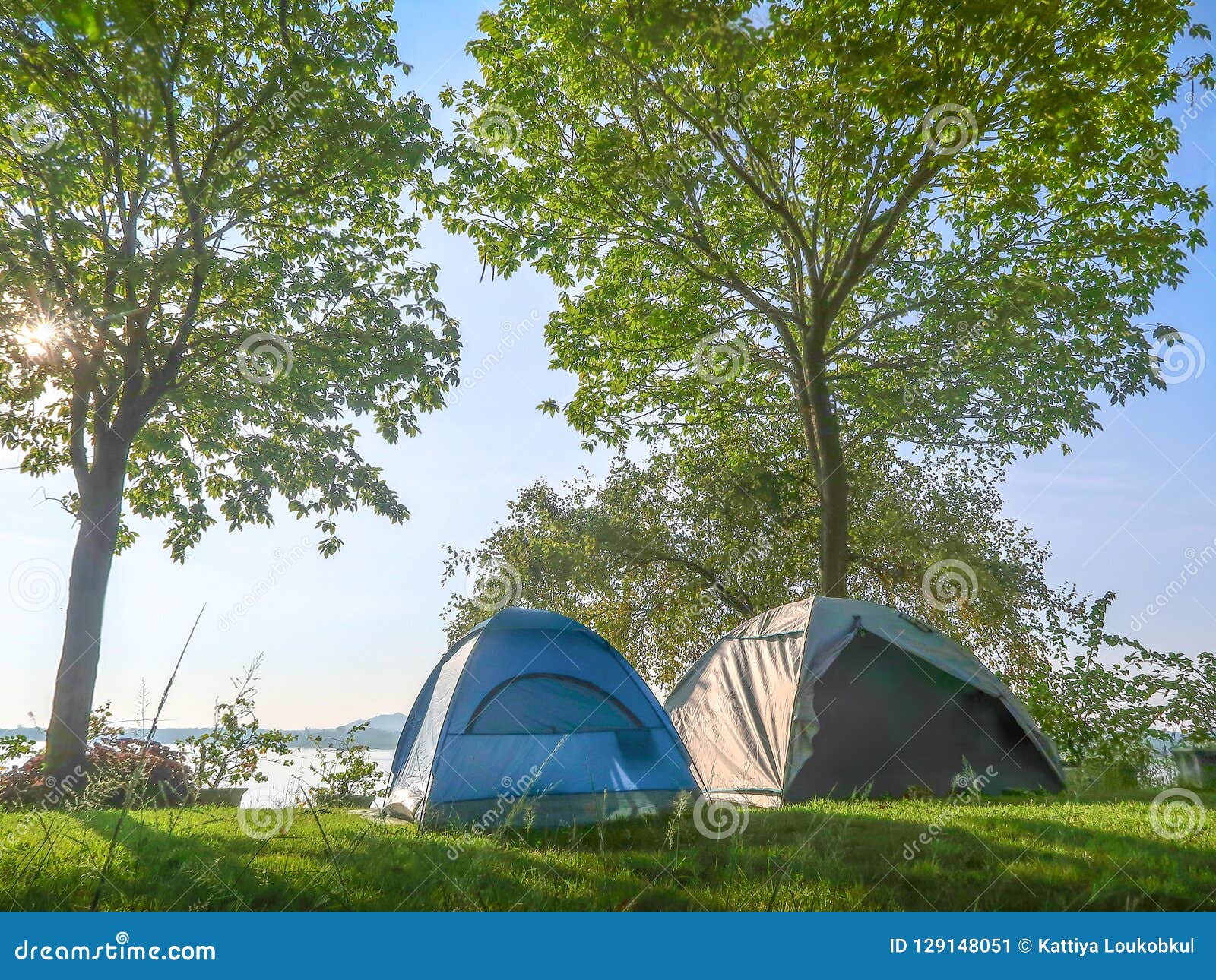 Camping Tents on the Grass in a Morning Stock Image - Image of outback ...