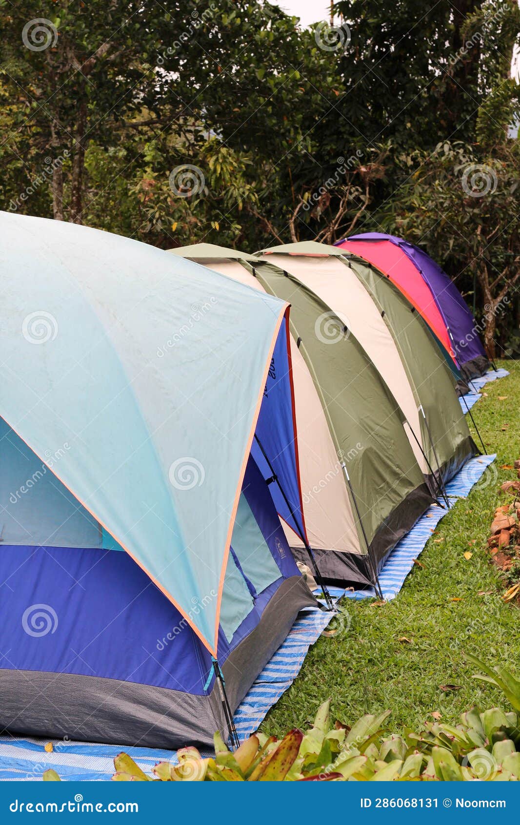 Camping Tents on Green Grass Stock Image - Image of tent, location ...
