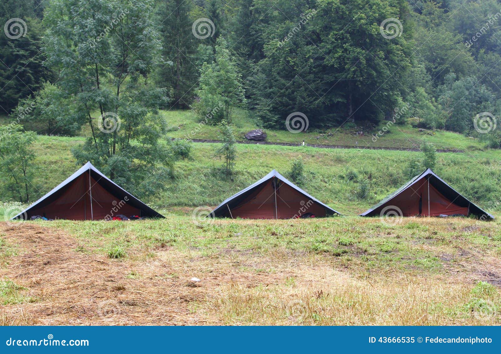 Camping Tents in a Scout Camp on the Lawn in the Mountains Stock Image ...
