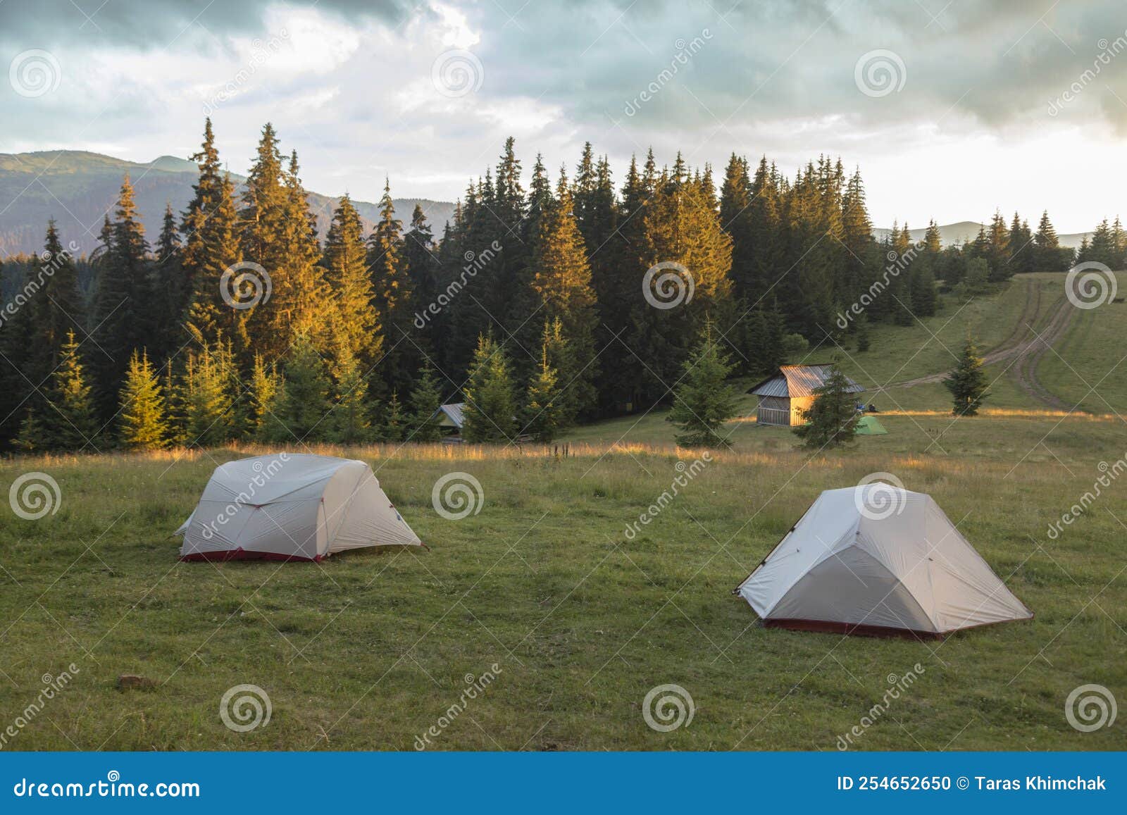 Camping Tents in the Spruce Forests of the Carpathian Mountains Stock ...