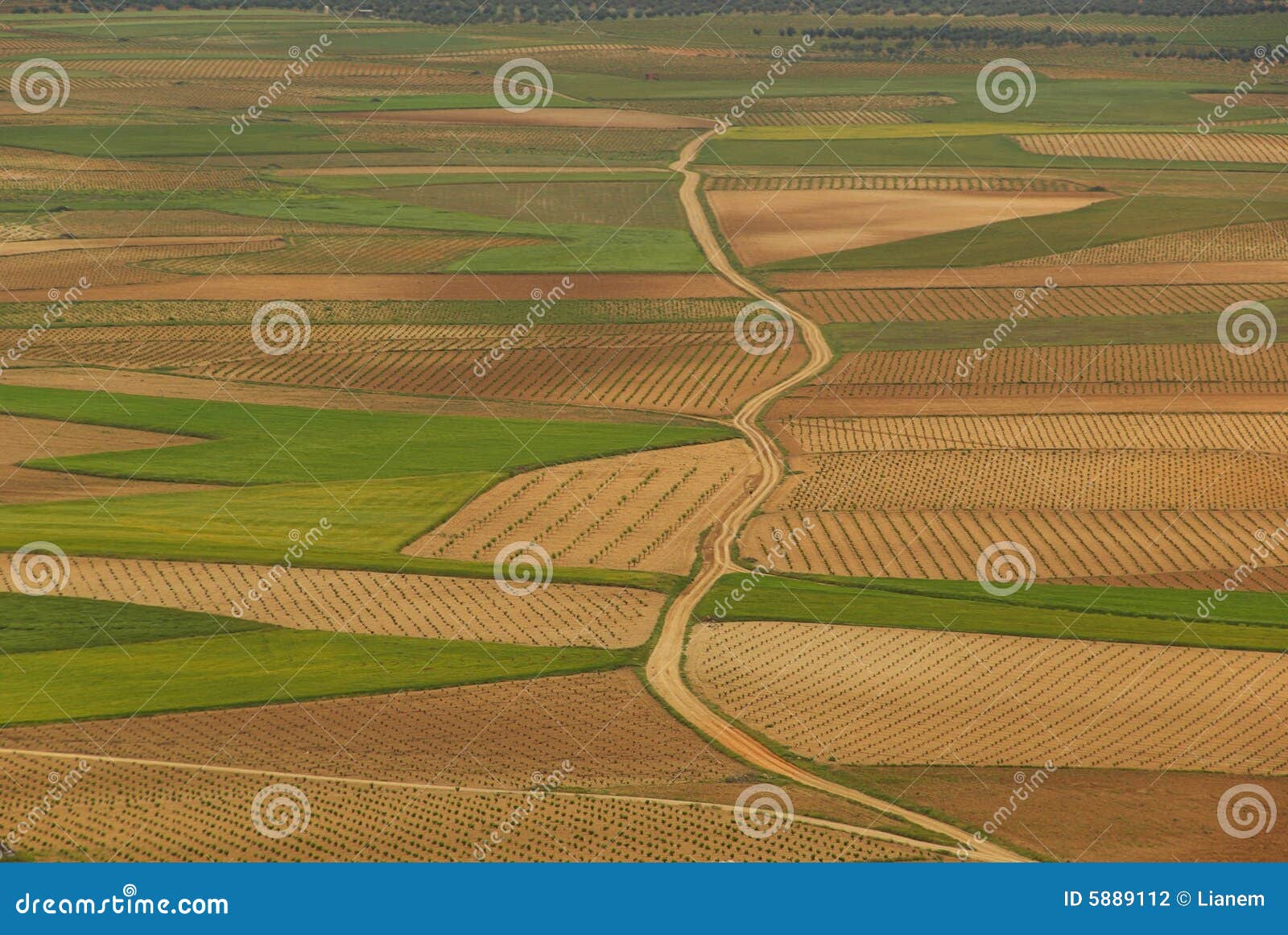 Campo 06 della Spagna fotografia stock. Immagine di podere - 5889112