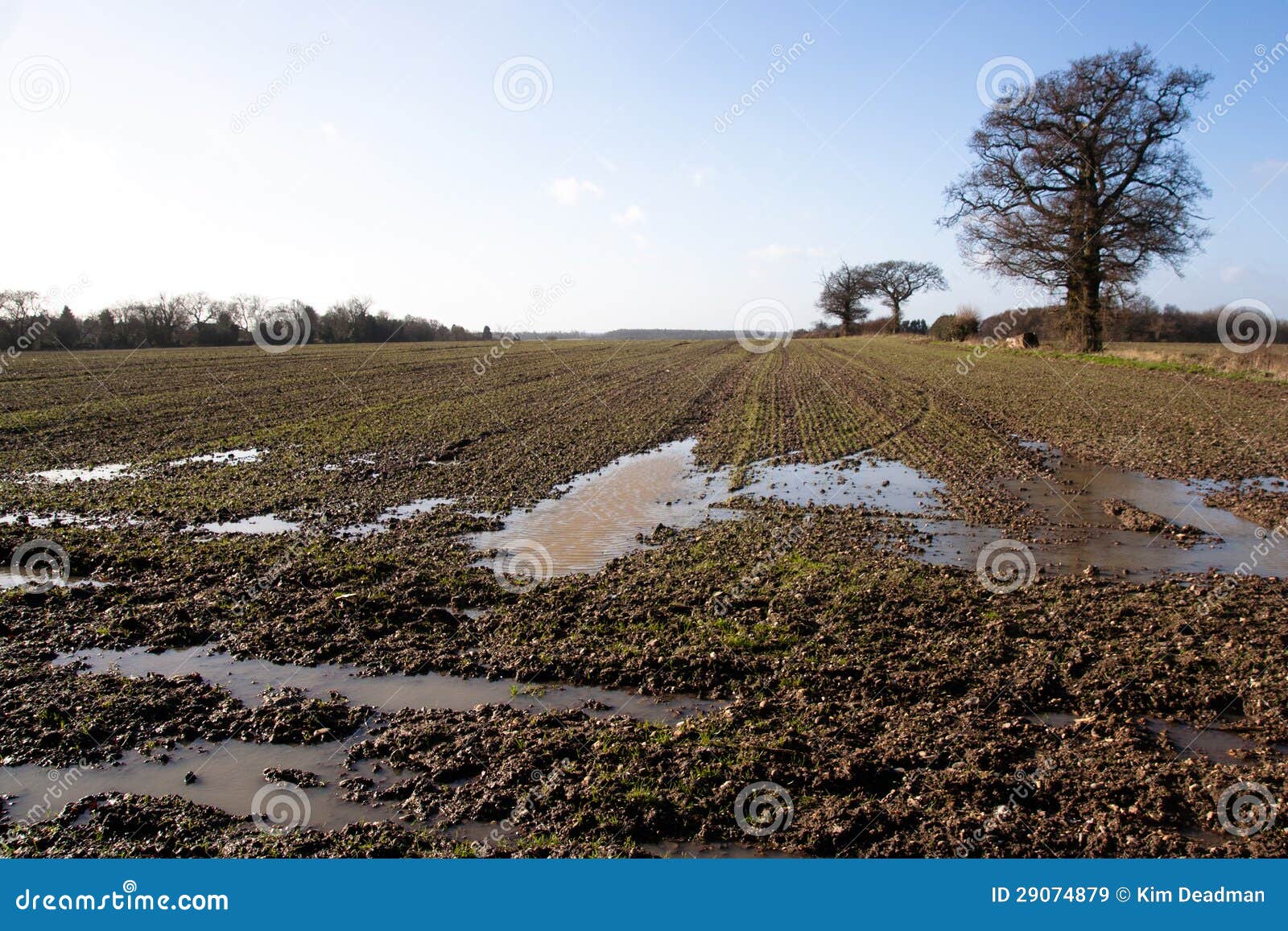 Campo anegado imagen de archivo. Imagen de empapado, agua - 29074879