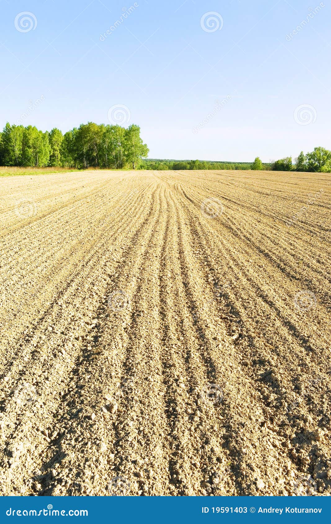 Campo arado imagen de archivo. Imagen de prado, planta - 19591403