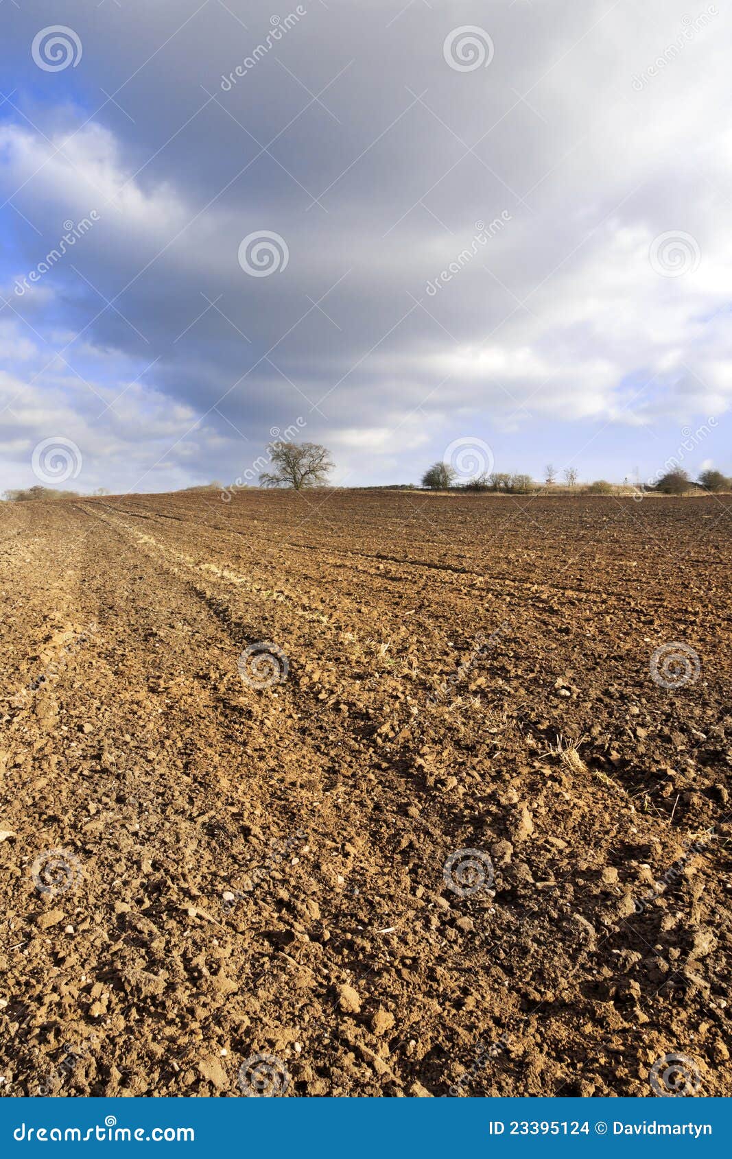 Campo arado foto de archivo. Imagen de suelo, tierra - 23395124