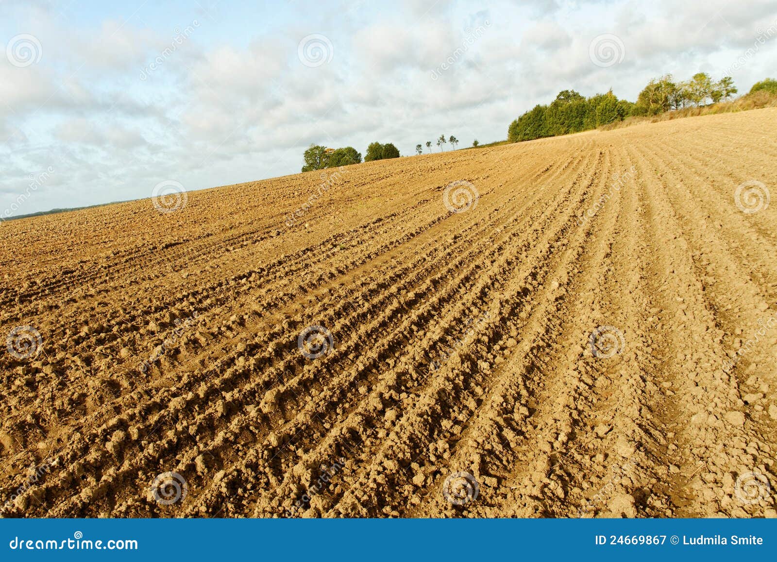 Campo arado. imagem de stock. Imagem de mola, paisagem - 24669867