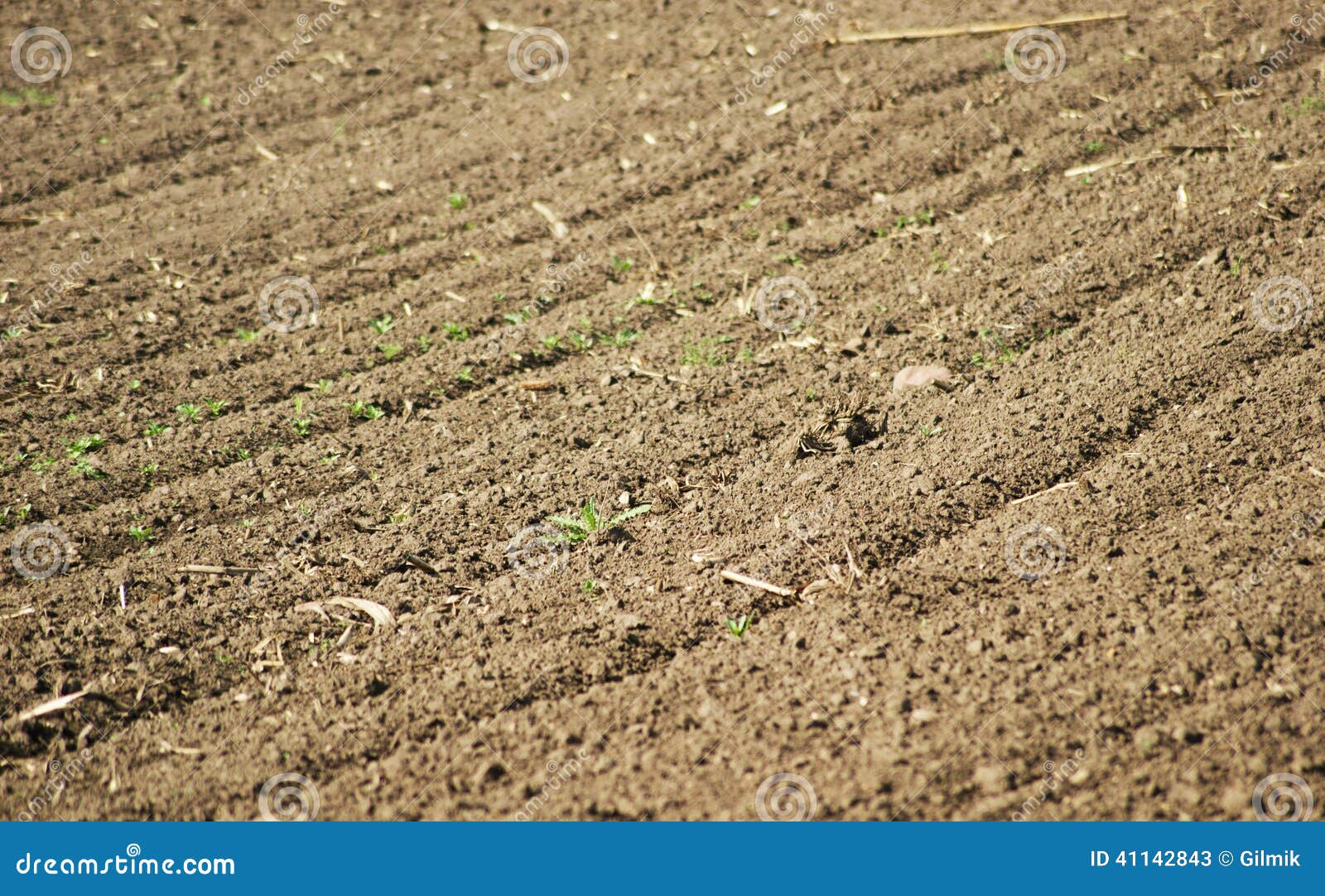 Campo arato immagine stock. Immagine di paese, arato - 41142843