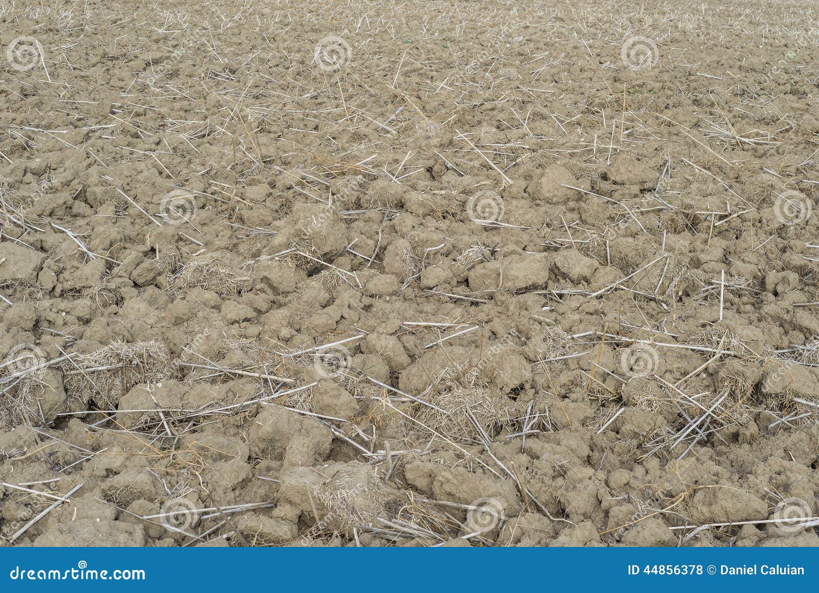 Campo arato fotografia stock. Immagine di ambiente, terreno - 44856378