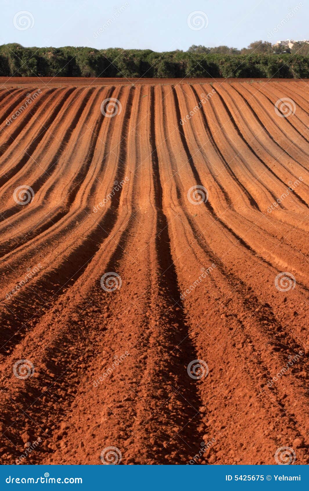 Campo arato immagine stock. Immagine di struttura, terreno - 5425675