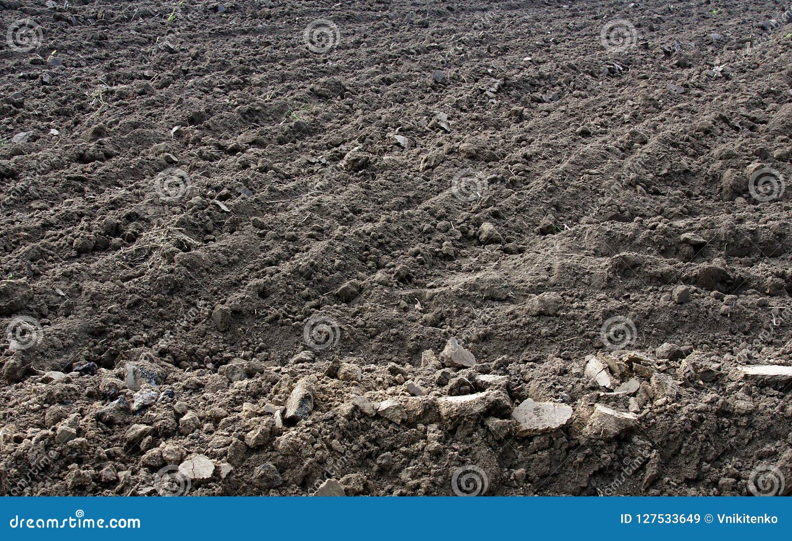 Campo Arato a Tempo Di Autunno Immagine Stock - Immagine di aratura ...