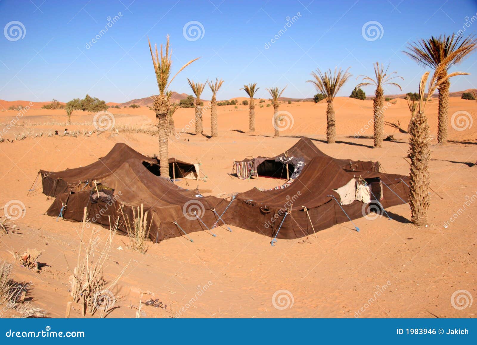 Campo beduino foto de archivo. Imagen de tienda, paisaje - 1983946