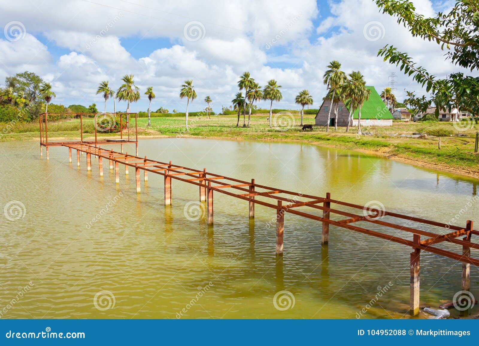 Campo Cubano En Pinar Del Rio Foto de archivo - Imagen de pista, cielo ...