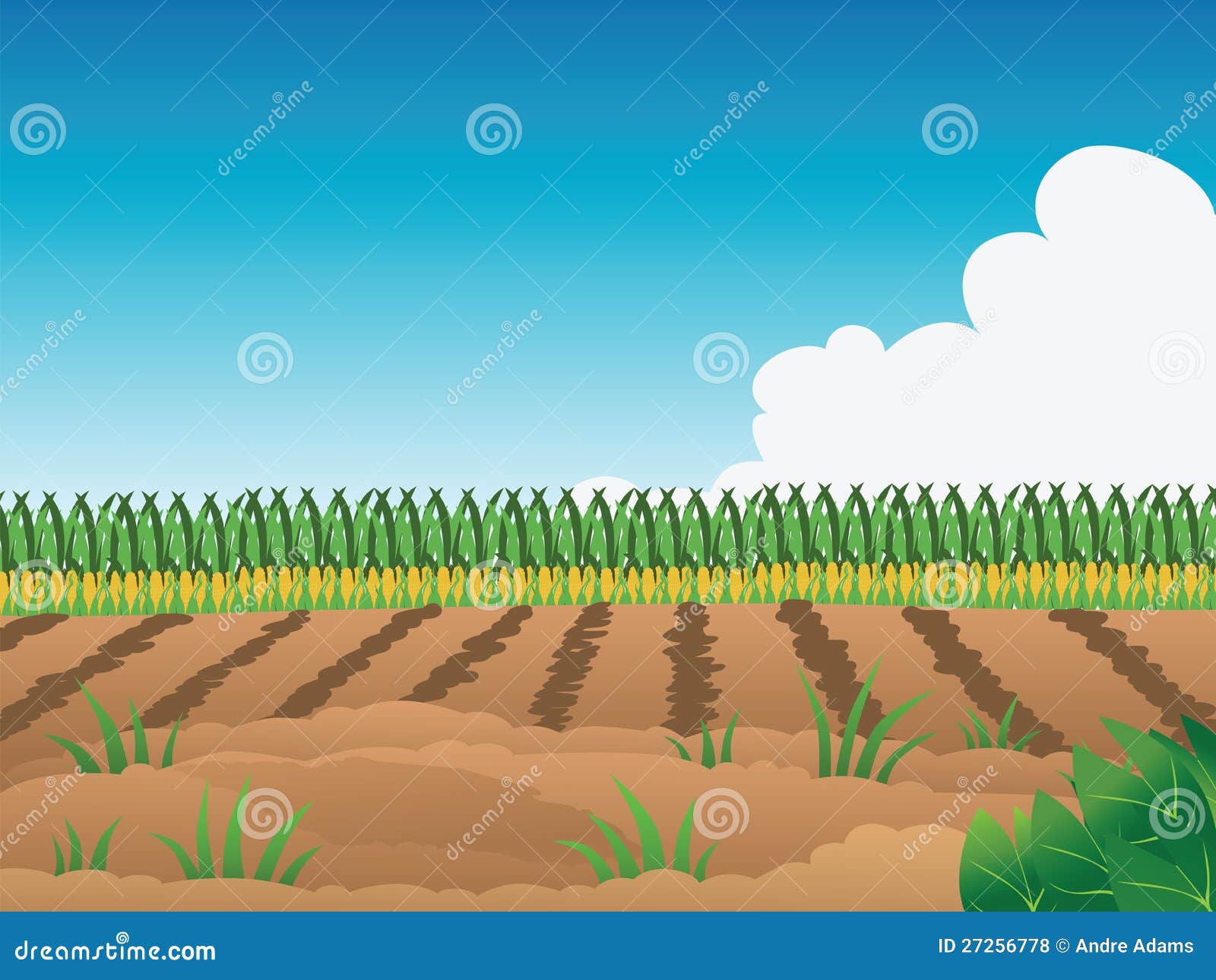 Campo de la cosecha ilustración del vector. Ilustración de campo - 27256778
