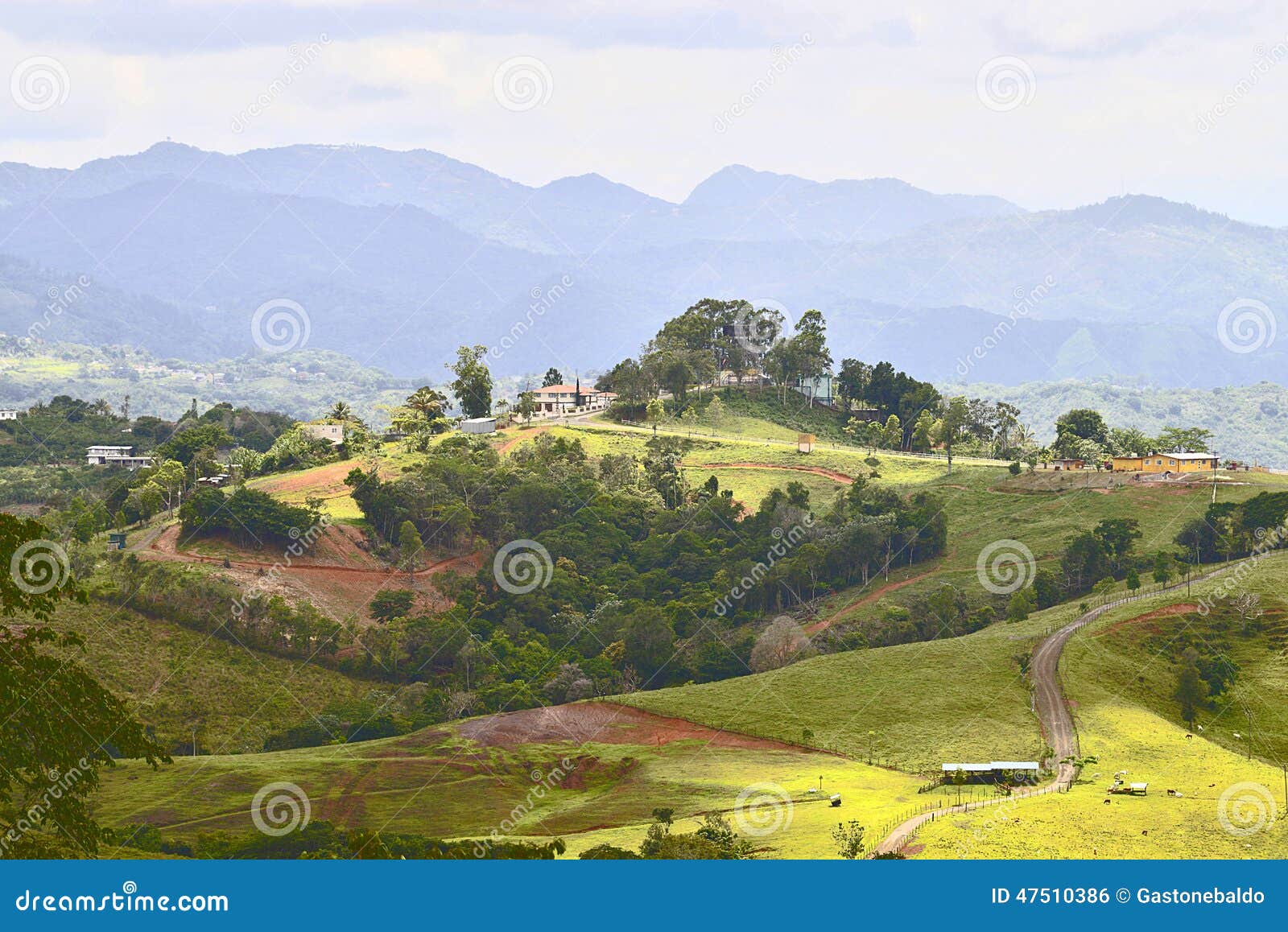 Campo de Puerto Rico foto de archivo. Imagen de bosque - 47510386