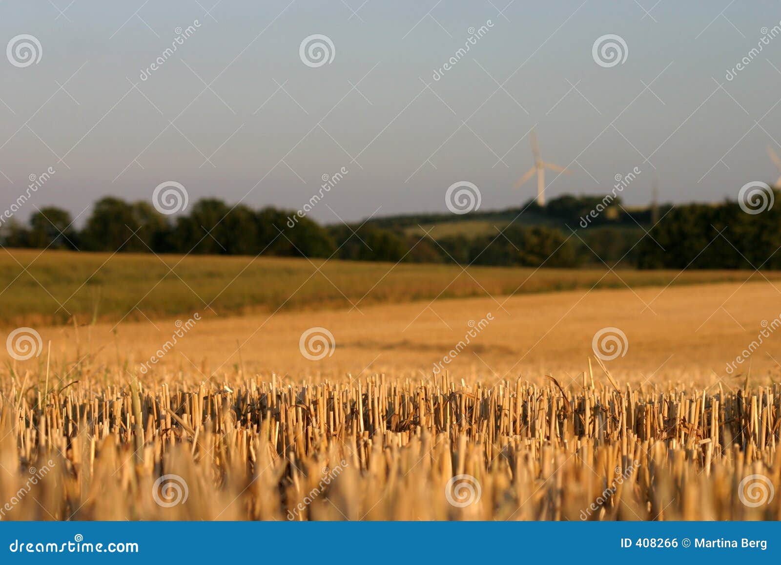 Campo de restolho foto de stock. Imagem de céus, barulho - 408266