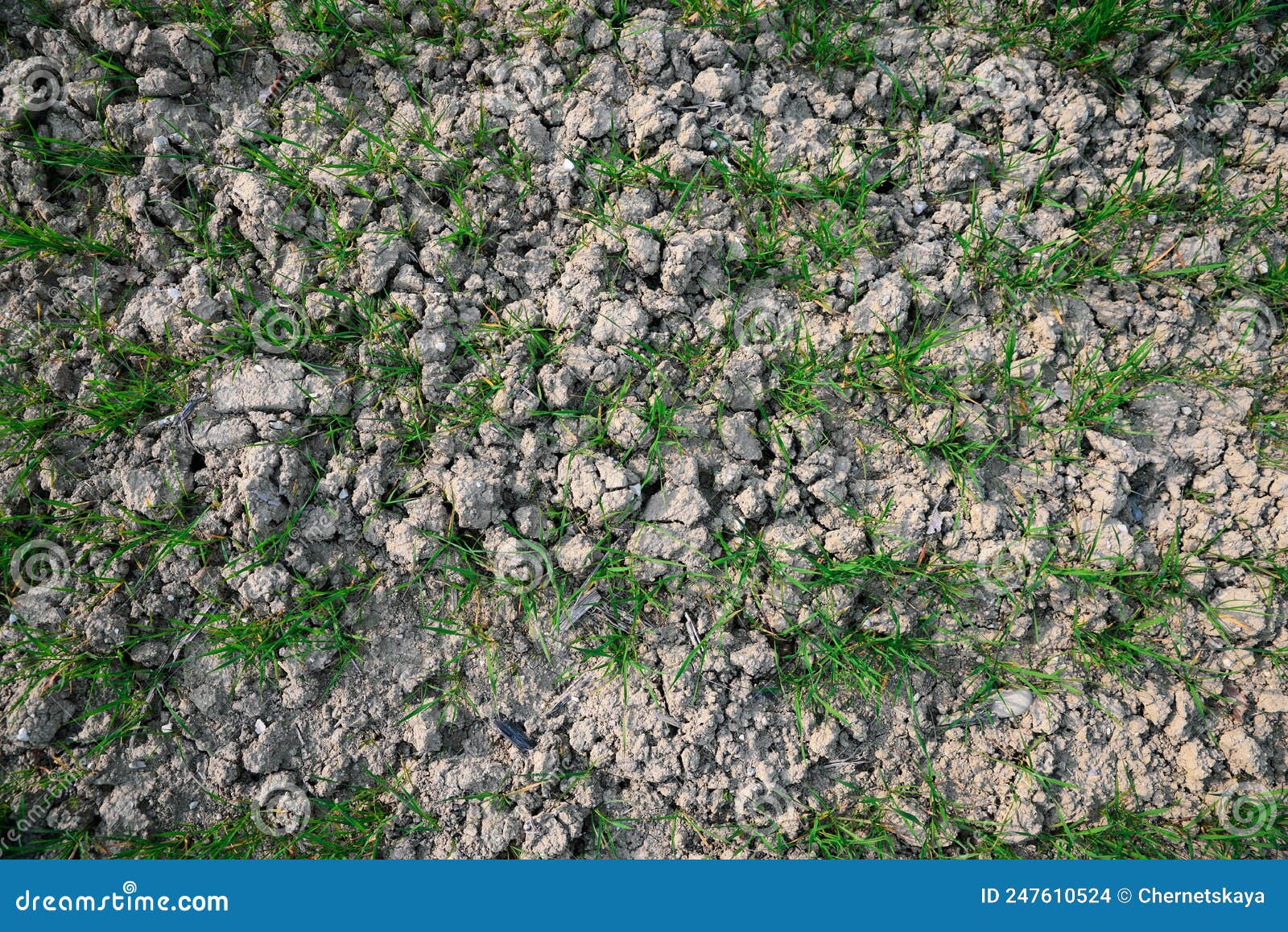 Campo De Terra De Argila Com Vista De Capim Verde Foto de Stock ...