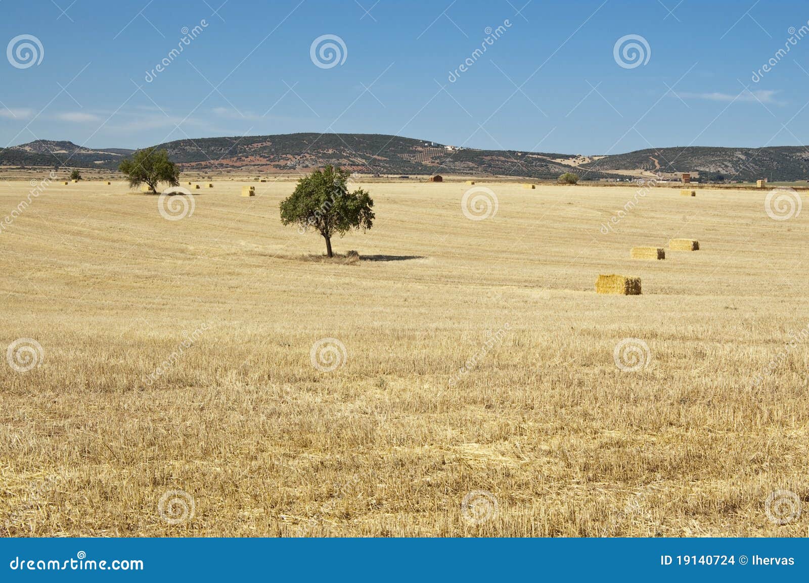 Campo Del Rastrojo De La Cebada Foto de archivo - Imagen de granja ...