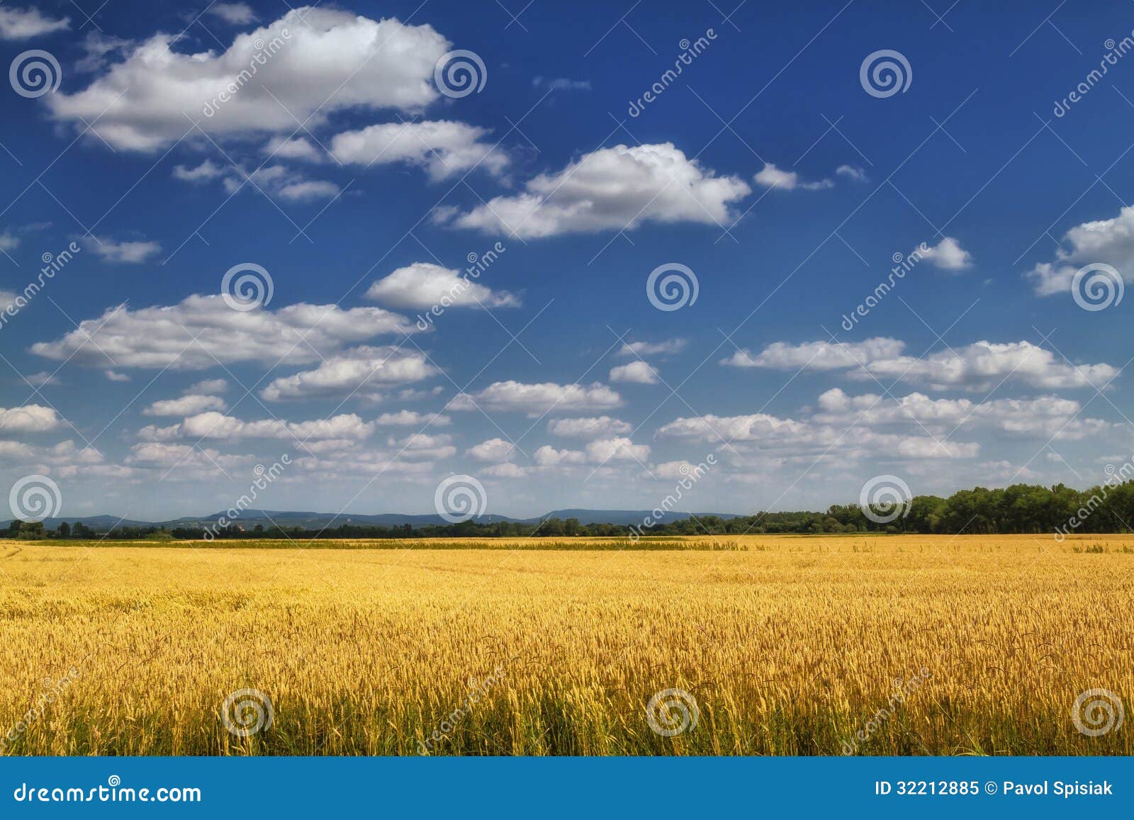 Campo dell'orzo. immagine stock. Immagine di raccolta - 32212885