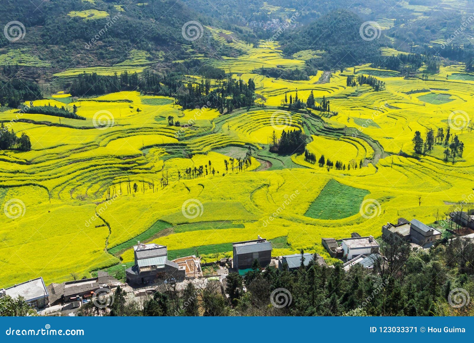 Campo Luoping da colza imagem de stock. Imagem de cascata - 123033371
