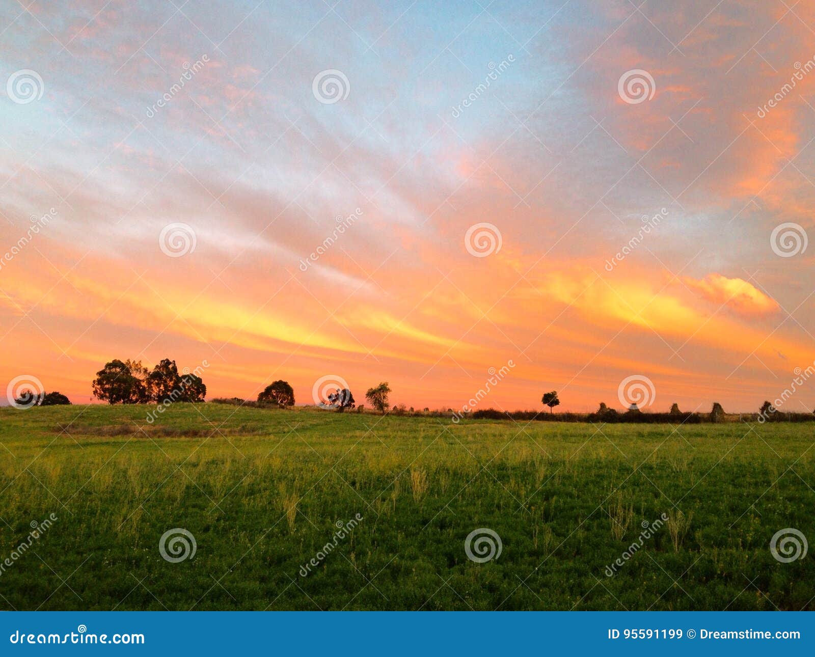 Campo Mexicano En La Puesta Del Sol Imagen de archivo - Imagen de verde ...