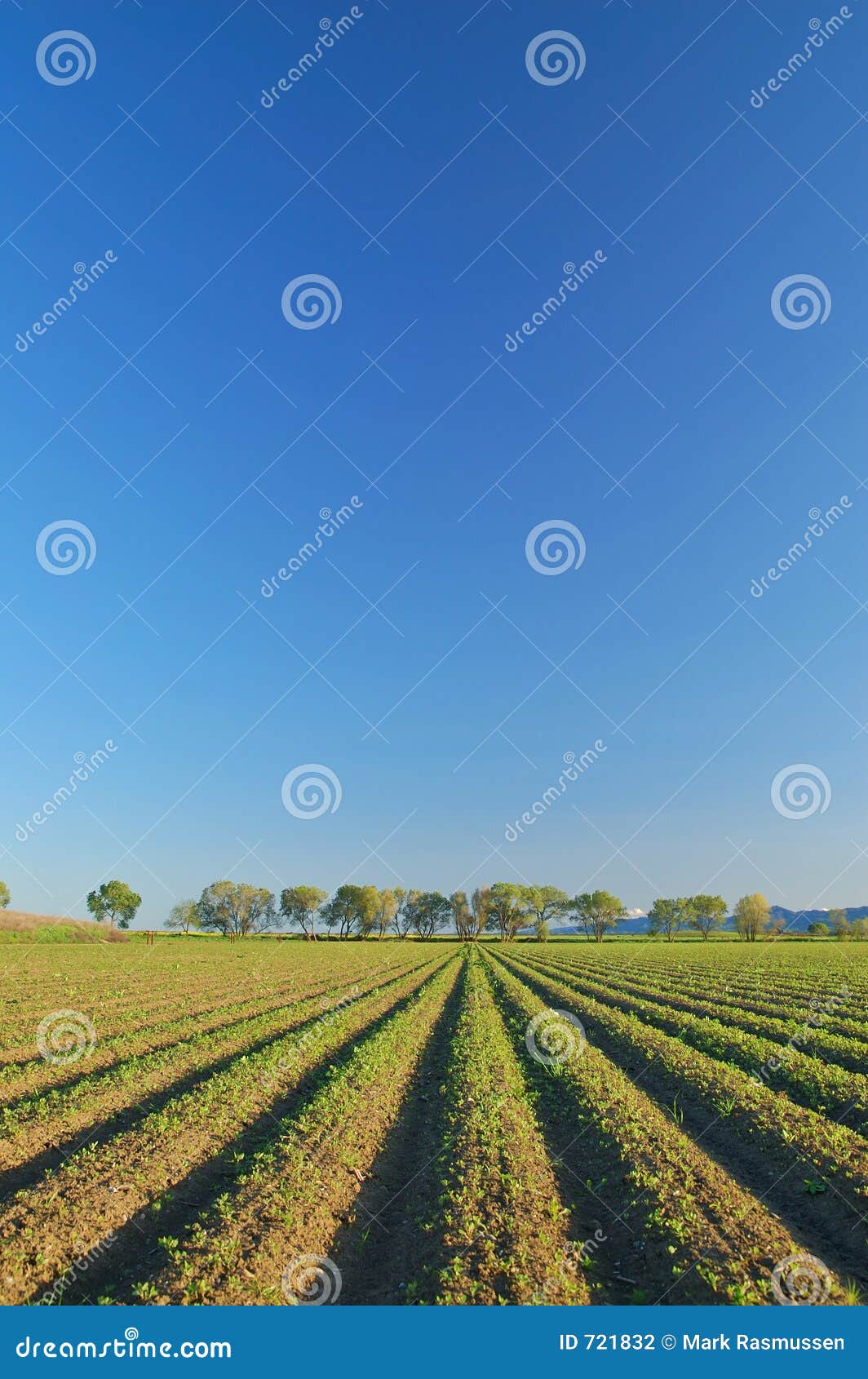 Campo rural foto de archivo. Imagen de cielo, rural, hierba - 721832