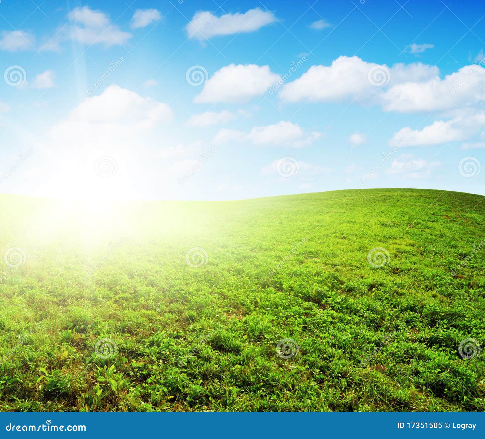 Campo Verde Sob O Sol Do Meio-dia Imagem de Stock - Imagem de ambiente ...