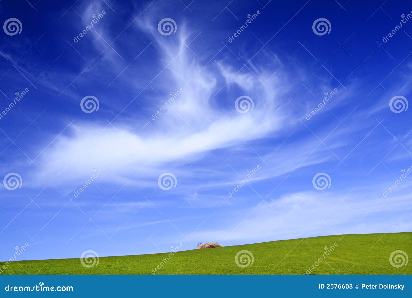 Campo y cielo verdes imagen de archivo. Imagen de prado - 2576603