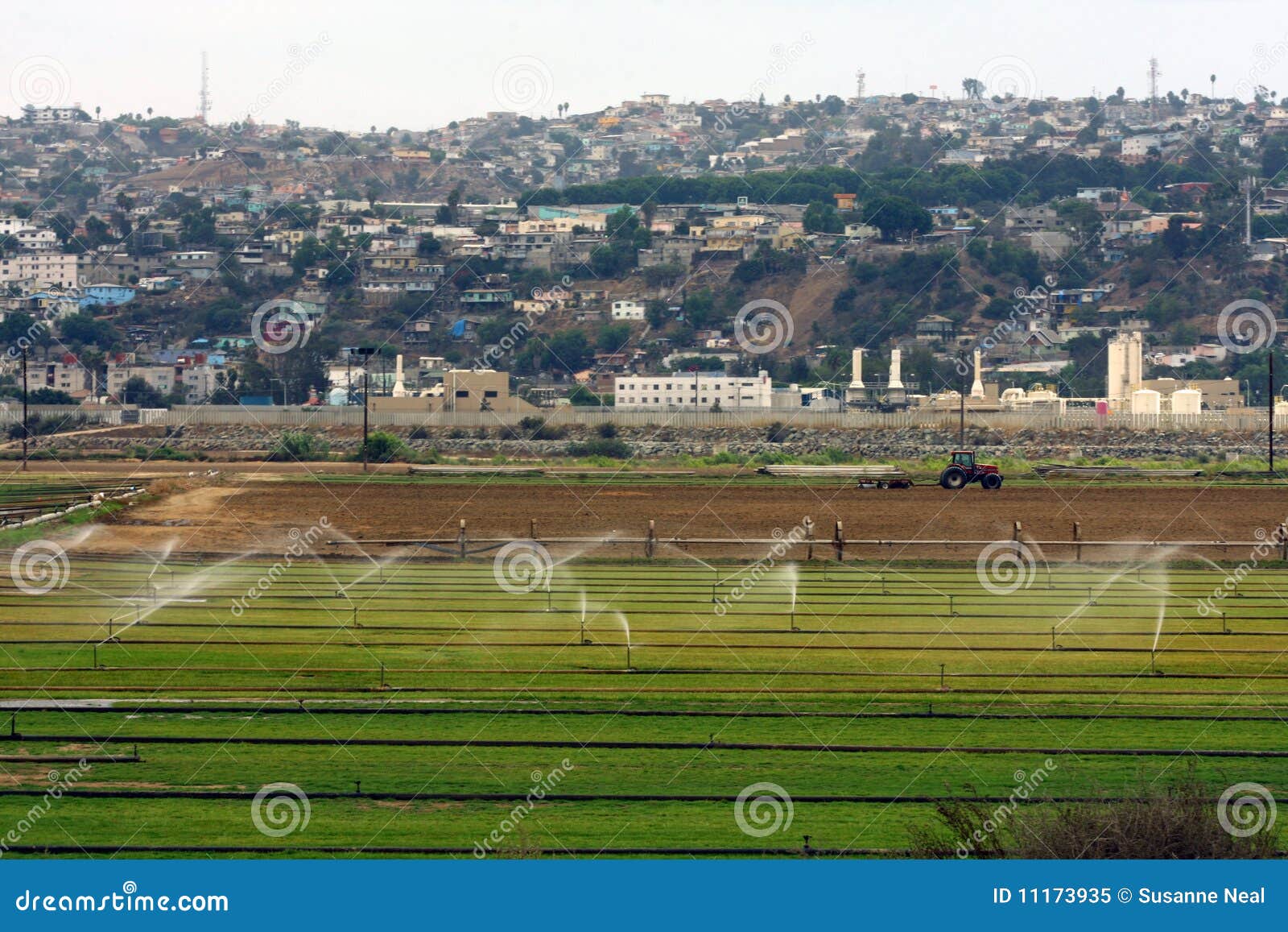 Campo y Tijuana agrícolas imagen de archivo. Imagen de ciudad - 11173935
