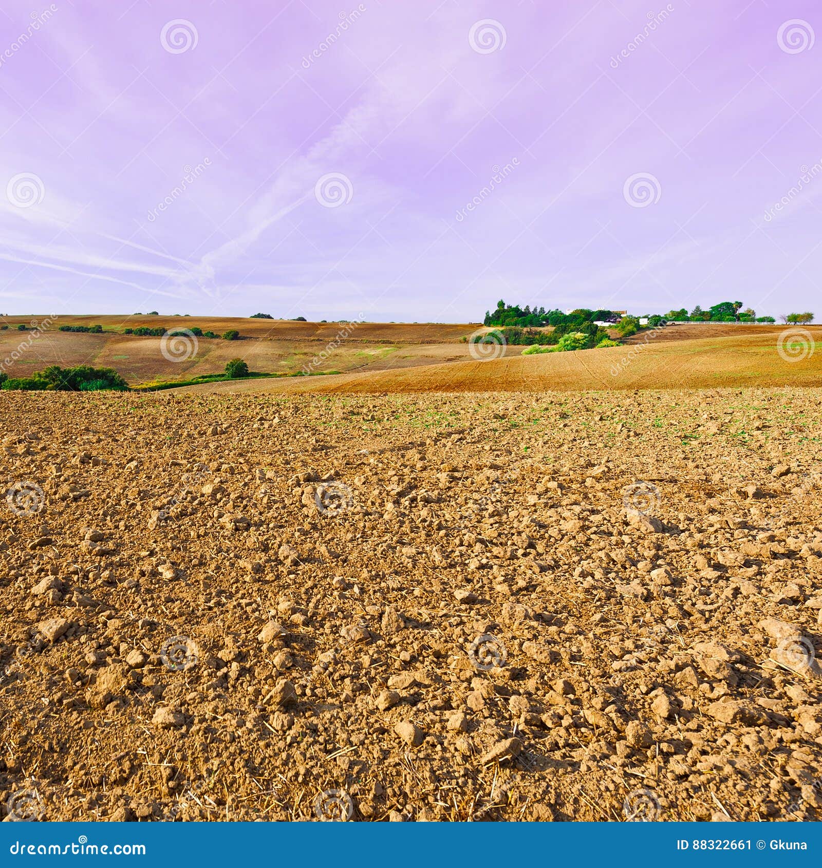 Campos imagen de archivo. Imagen de pista, mañana, otoño - 88322661