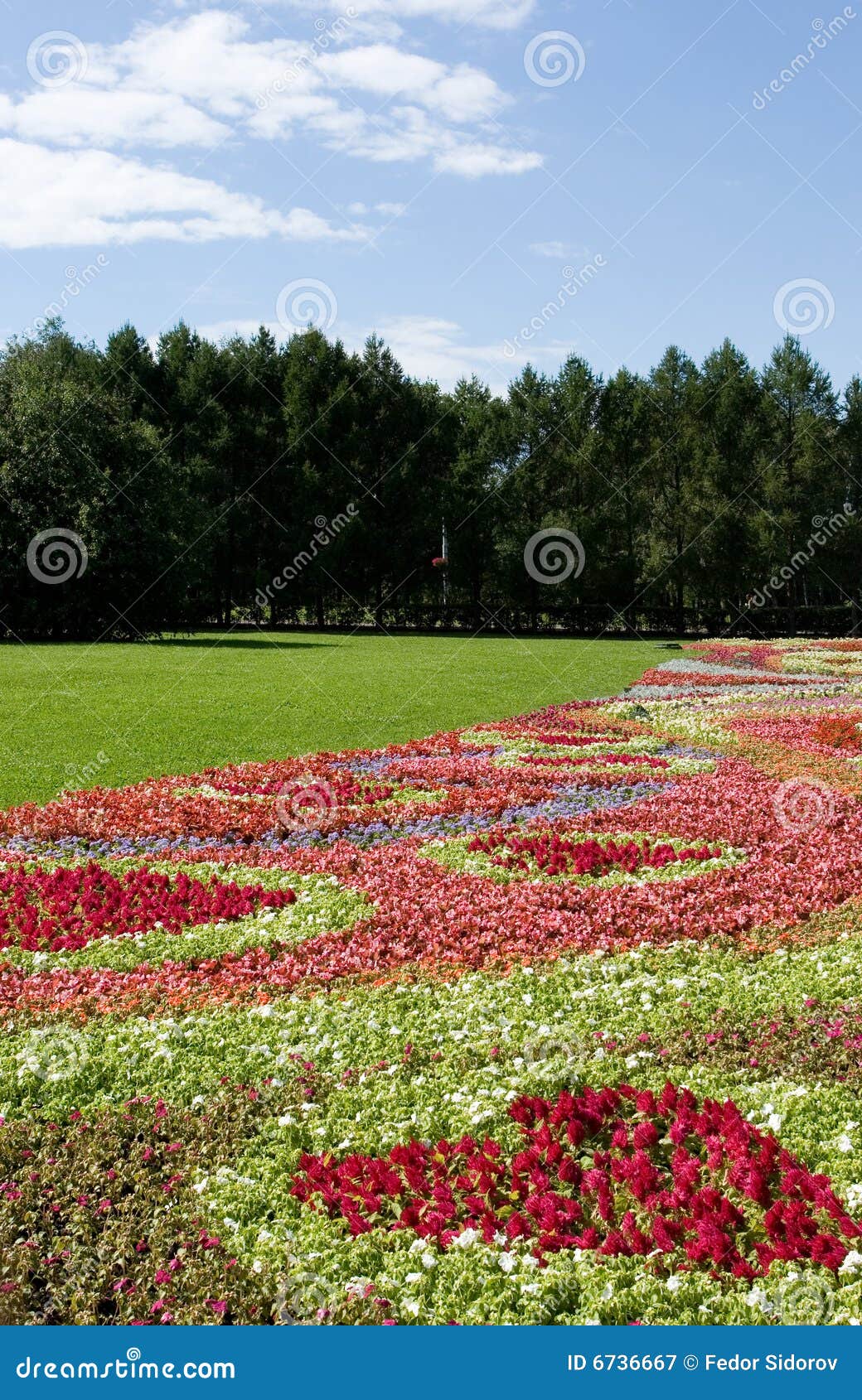 Campos de flor 2 imagen de archivo. Imagen de verde, floral - 6736667