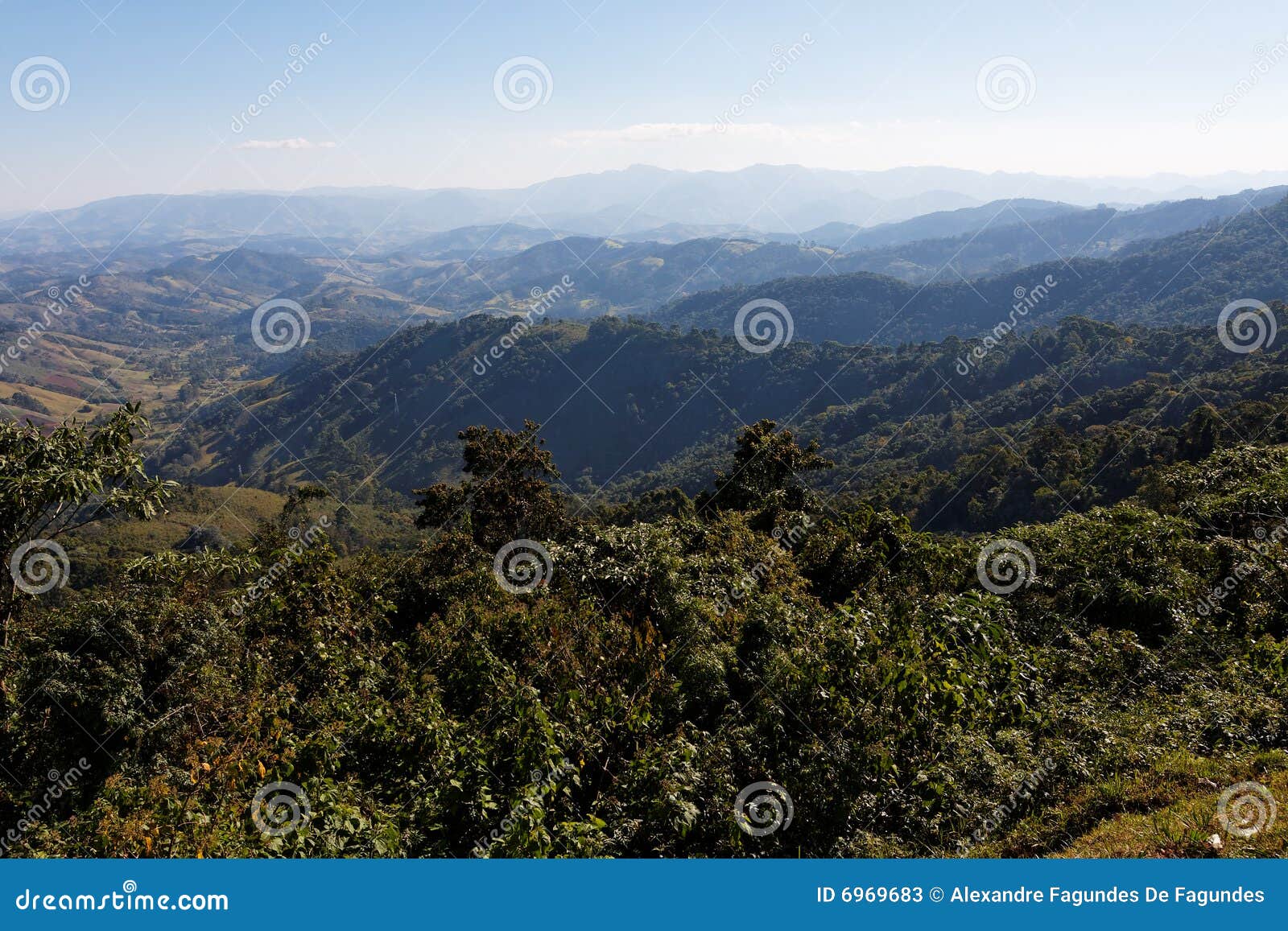 Campos Do Jordao Mountains Brazil Stock Image - Image of trees, forest ...