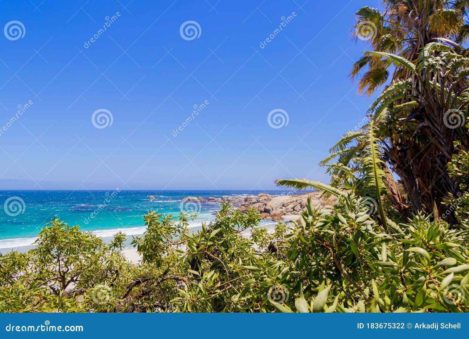 Camps Bay Beach Behind Palm Trees, Cape Town Stock Photo - Image of ...