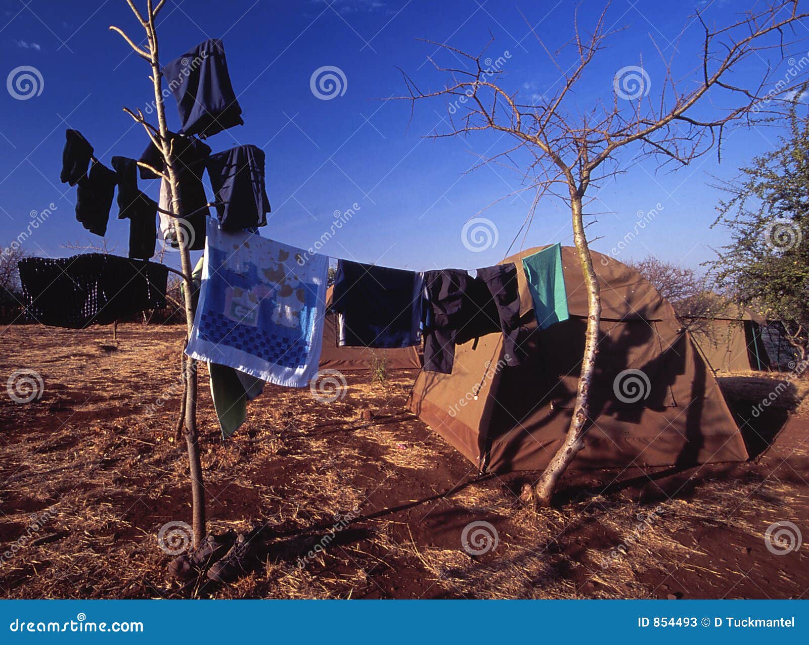 Campers Drying Clothes With On Line At Campsite Next To Tent Royalty ...