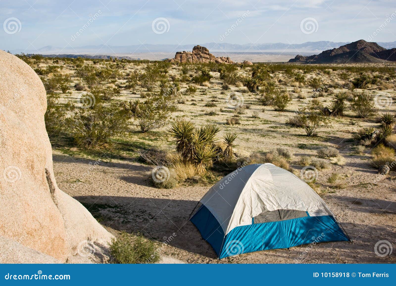Campsite - Joshua Tree National Park Stock Photo - Image of rocky ...