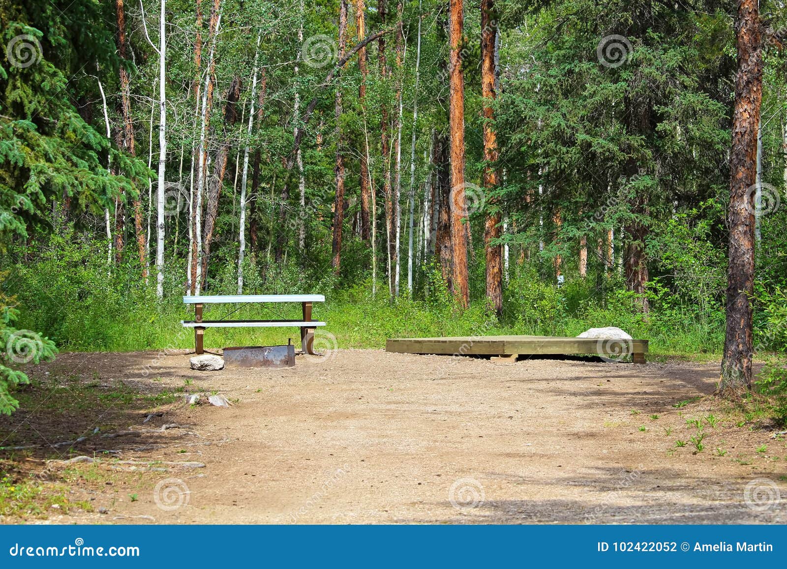 A Campsite with a Picnic Table, Fire Ring and Tent Platform Stock Photo ...