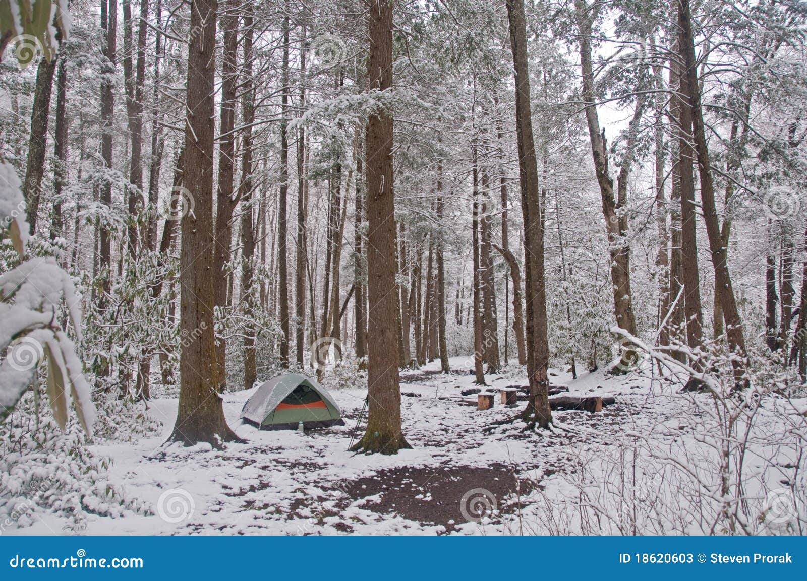 Campsite in the snow stock image. Image of trees, north - 18620603