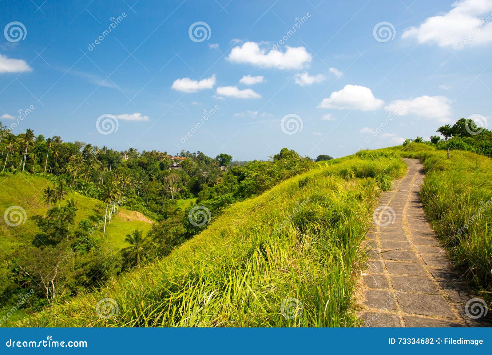 Campuhan Ridge Walk foto de stock. Imagem de fresco, nave - 73334682