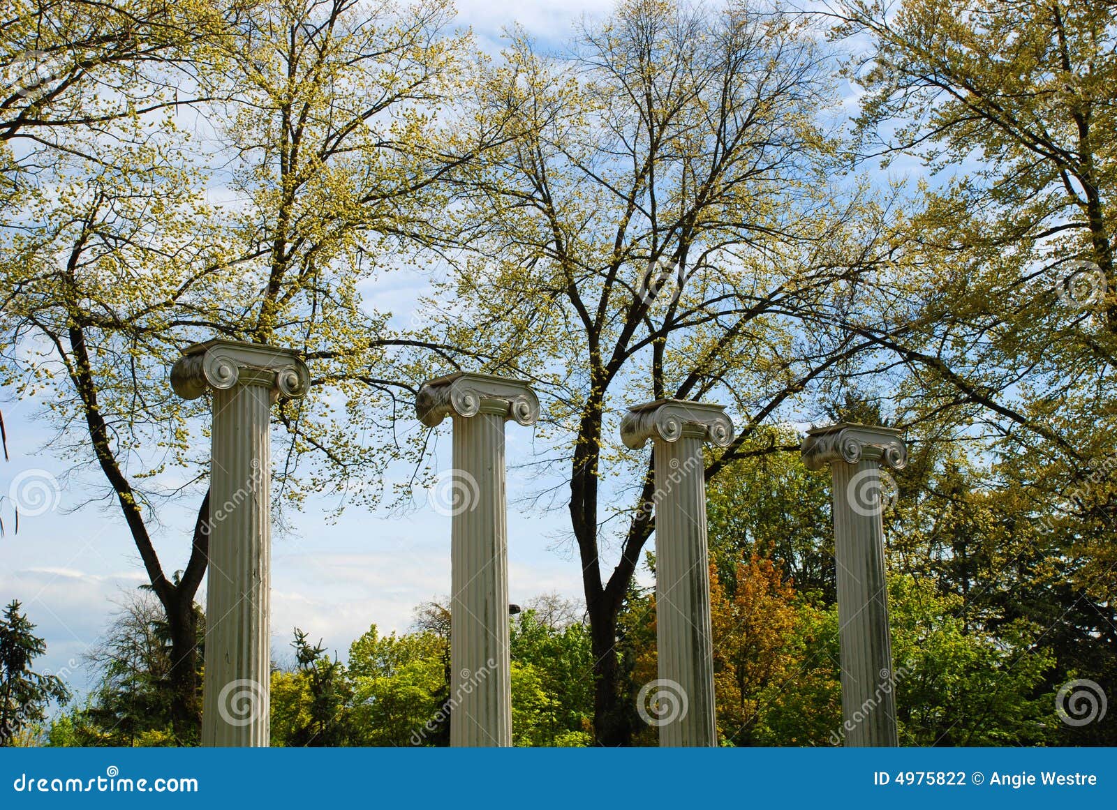 Campus in Bloom stock photo. Image of sporting, dimploma - 4975822