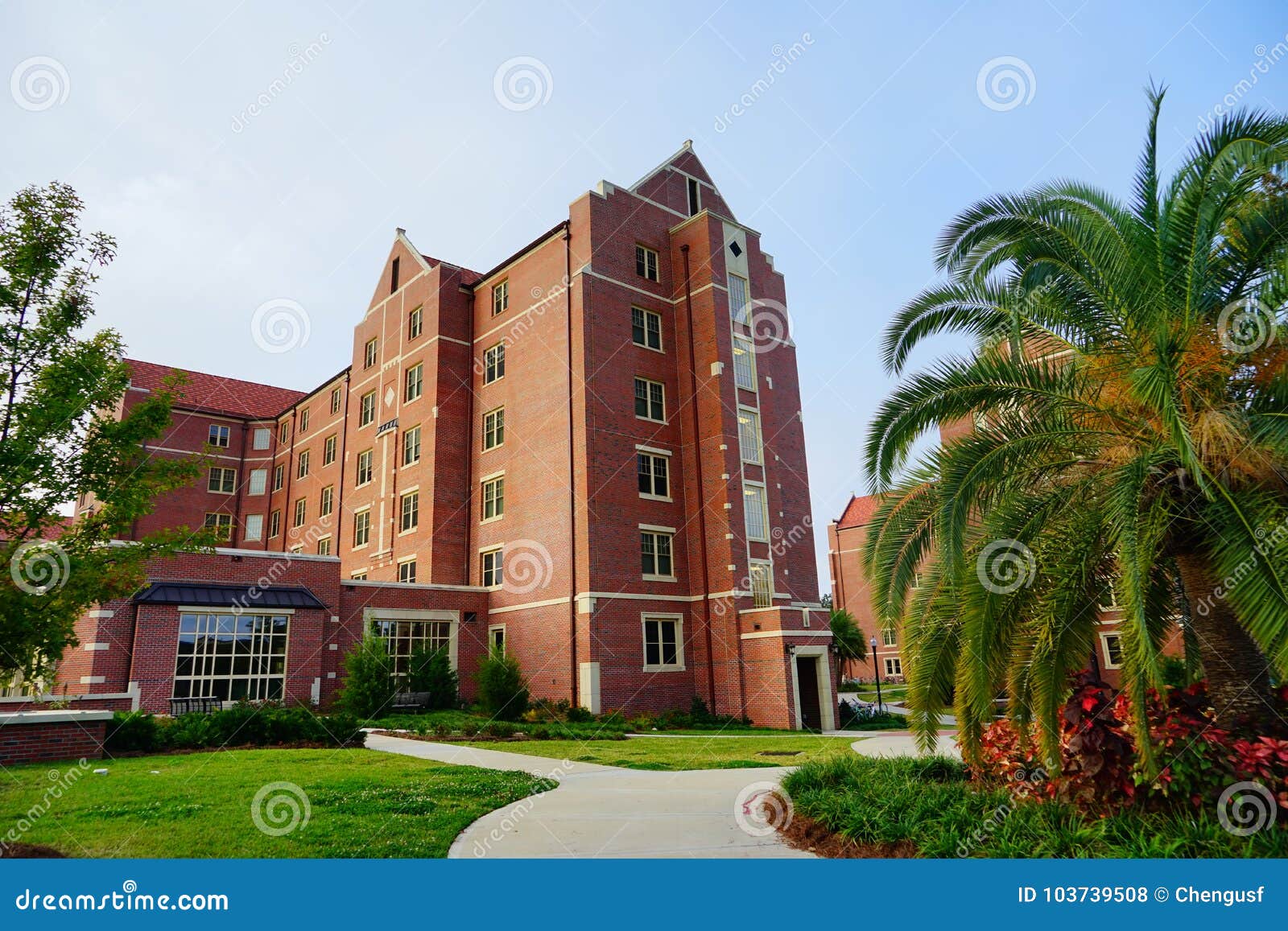Florida State University stock photo. Image of higher - 103739508