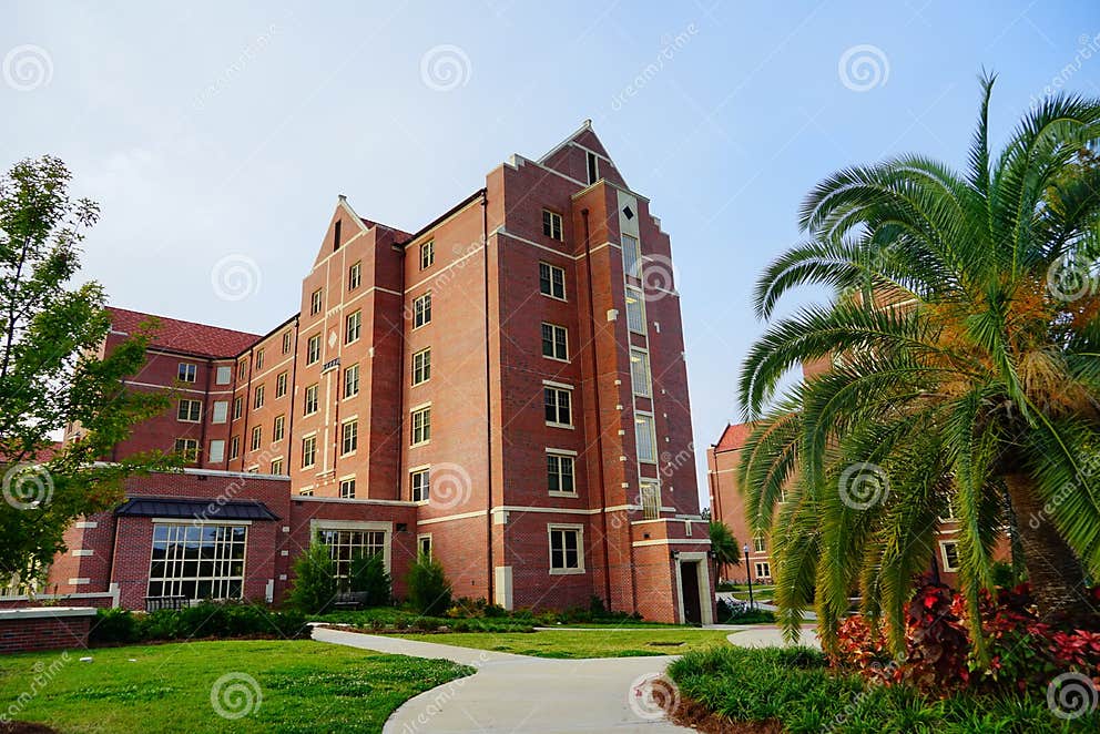 Florida State University stock photo. Image of higher - 103739508