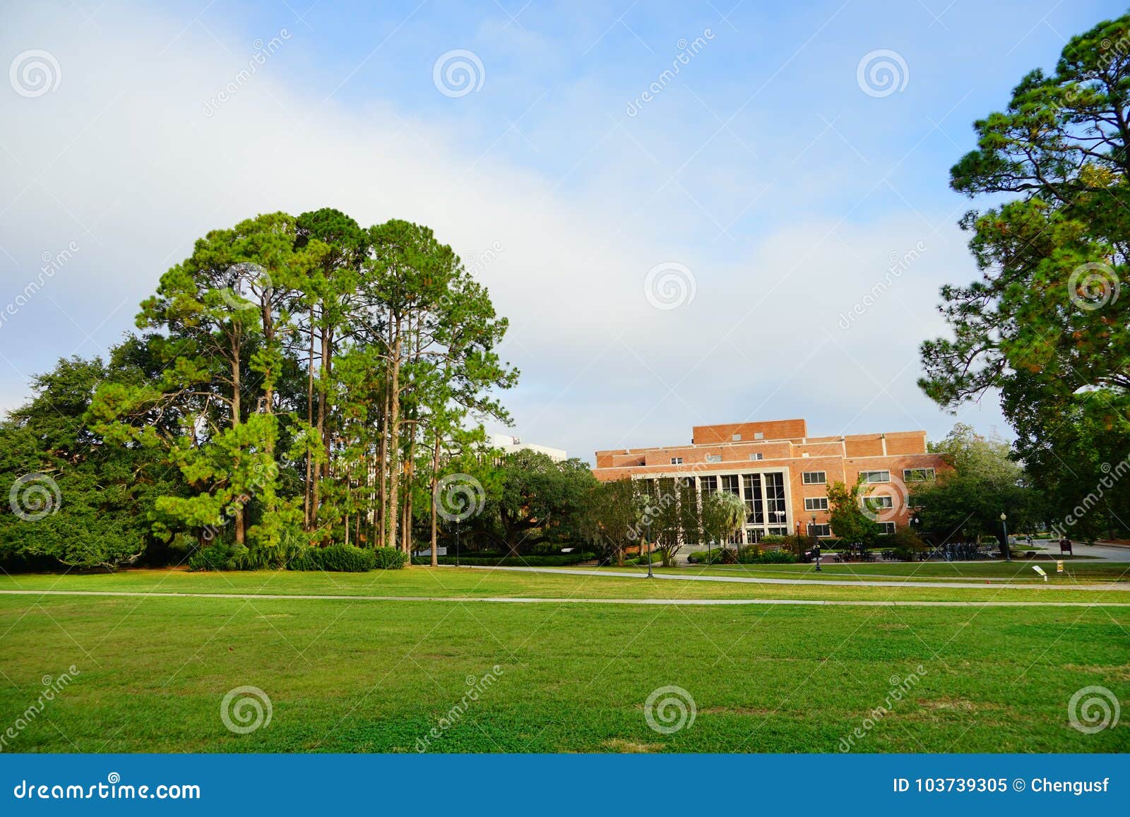 Florida State University stock image. Image of state - 103739305