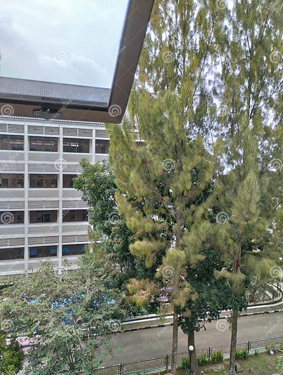 In the Window of the Campus Building Stock Photo - Image of trees, window: 268349932